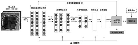sea surface oil spill hyperspectral remote sensing detection 1d cnn