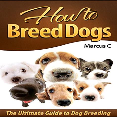 How To Breed Dogs The Right Way