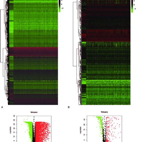 The Differentially Expressed Genes A Heatmap Of Differentially