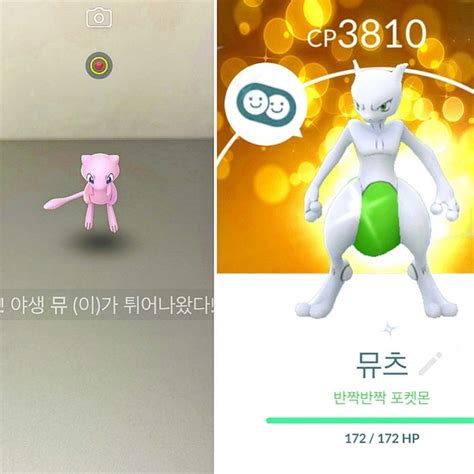포켓몬고 이로치 뮤츠 졸업스킬 뮤 졸업스킬 뮤츠 약점 뮤 약점 반짝반짝포켓몬 이로치 뮤츠 별4개 이로치 한카리아스