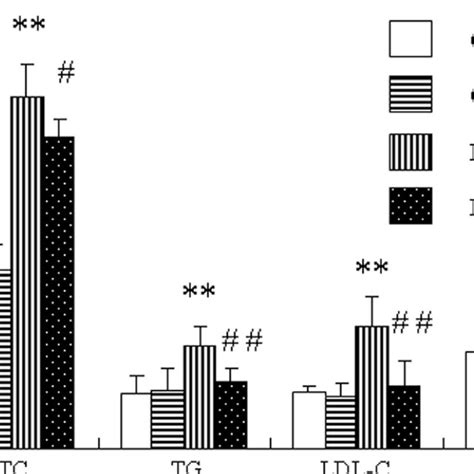 Base Peak Intensity Bpi Chromatograms Obtained From The Negative And