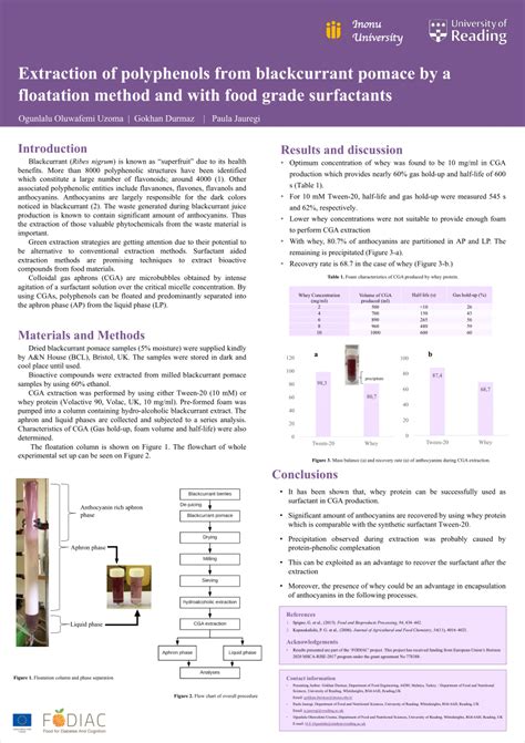 Pdf Extraction Of Polyphenols From Blackcurrant Pomace By A Floatation Method And With Food
