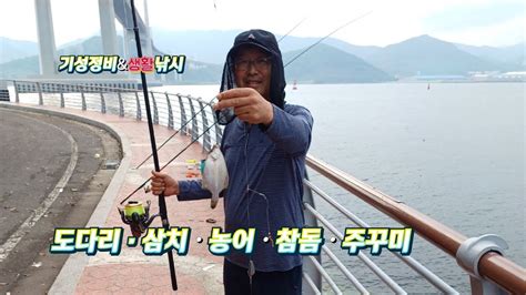 지렁이한통 으로 모듬회 먹자 도다리 삼치 농어 주꾸미 생활낚시 Youtube