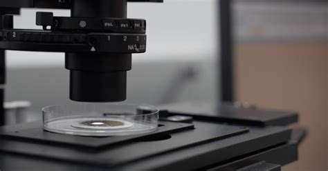 Experts Find Microplastics In Tampa Bay Area Waters
