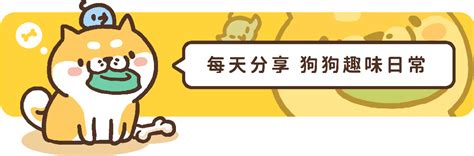 谁养狗我就打谁正好我今天有气没地撒 狗狗 文明 流浪狗