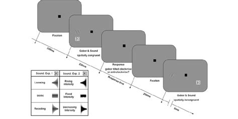 Schematic Of Successive Events Within A Trial For Experiments 1 And 2