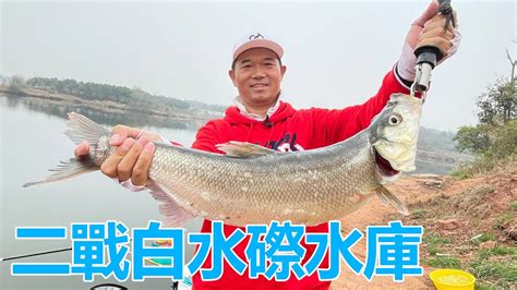 二戰白水磜水庫，我又回來了！我還會再回來的！ ！ 😡😡天元鄧剛 Youtube