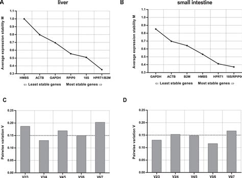 Genorm Analysis Of Candidate Reference Genes For Mrna Download