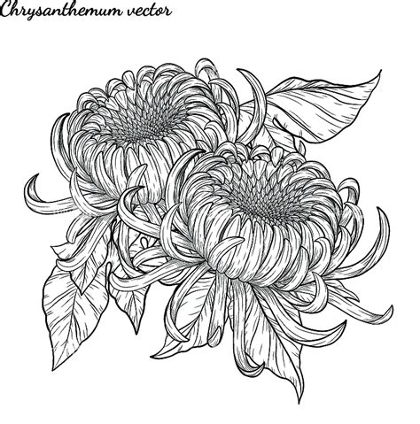 清新风手绘花卉植物插画免抠元素素材模板下载 图巨人