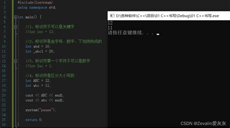 c 从入门到精通 第一章（绪论） csdn博客