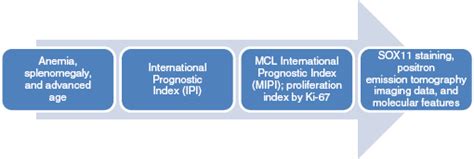 41 Mantle Cell Lymphoma Oncohema Key