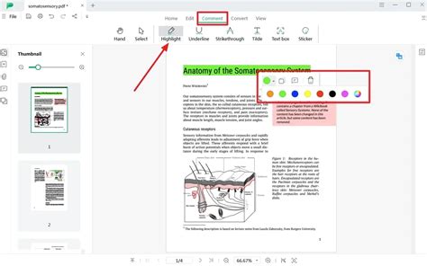 How To Use These Effective PDF Annotators Expert Tips