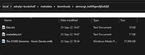 Enhancement A Way To To Cancel An Ongoing Mergingm4b Creation