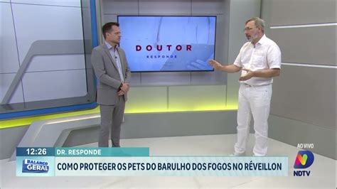 Dr Responde Como Proteger Os Pets Do Barulho Dos Fogos No Réveillon