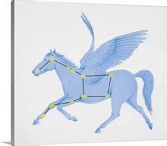 Pegasus Constellation Tattoo