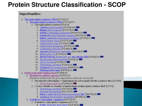 Ppt Protein Structure Classification Prediction And Proteomics