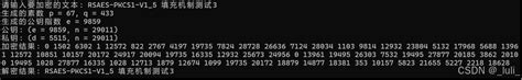 Rsa算法实现rsa算法的实现 Csdn博客
