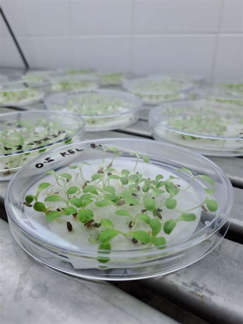 Biostimulants Agriculture Soilhealth Cropgrowth Sustainability