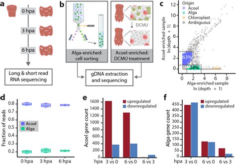 Assembly Of Reference Transcriptomes Enables The Measurement Of