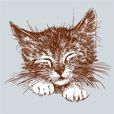 Desenho à mão de um bonito gatinho adormecido Vetor Premium