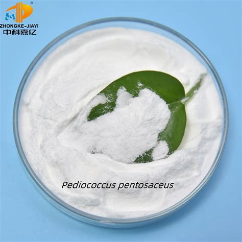 Enhancing Oral Health Pediococcus Pentosaceus Mutans Probiotic Tablets