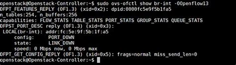 Software Defined Networking SDN OpenFlow And OVSDB Connection