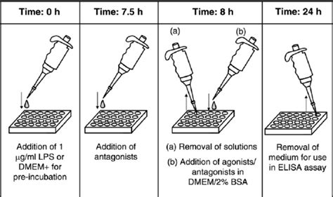 Cell Culture Techniques Protocol At Felipe Heidt Blog
