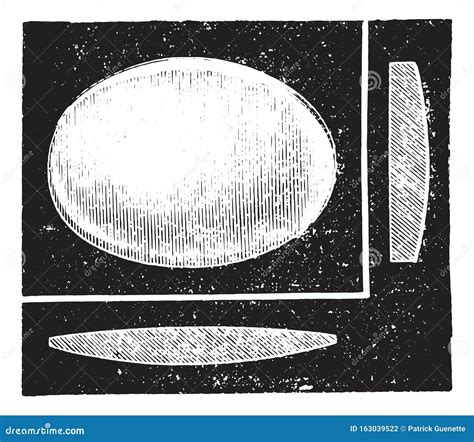 Convex Lens And Concave Lens Cartoon Vector CartoonDealer Com