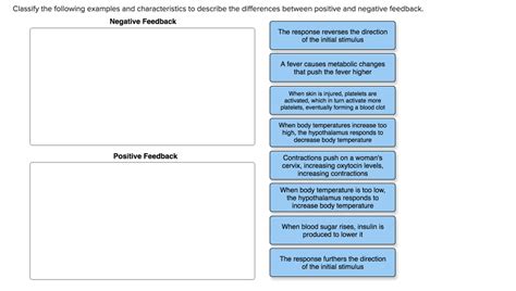 Solved Classify The Following Examples And Characteristics Chegg