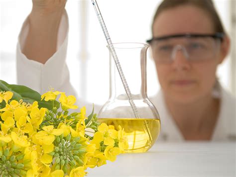 Stoffliche Nutzung biogener Rest- und Rohstoffe - Biomasse-Institut ...