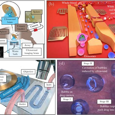 4 Magnetic Actuation Of Passive Microrobots A An Electromagnetic Download Scientific