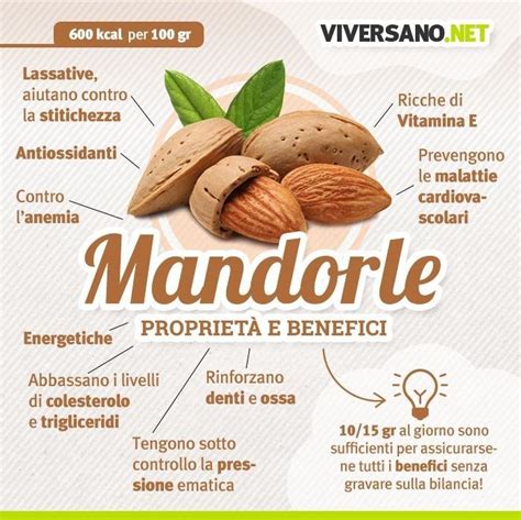 Pin Oleh Attila Paimei Di Salute E Alimentazione Health And Nutrition
