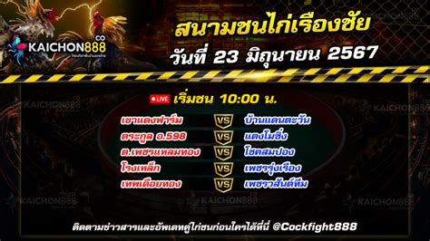 โปรแกรมไก่ชน สนามชนไก่เรืองชัย วันที่ 23 มิ ย 67 Kaichon888 Kaichon888