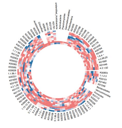 跟着imeta学做图｜circlize绘制环状热图展示细菌功能聚类分析 Csdn博客