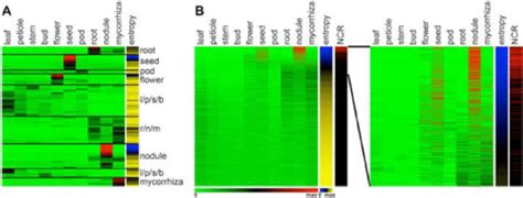 Shannon Entropy A Hierarchical Clustering Of The 9000 Probe Sets