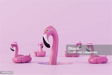 핑크 플라밍고 풍선 반지 파스텔 배경에 3d 렌더링 공기 주입에 대한 스톡 사진 및 기타 이미지 공기 주입 관광 관광객 Istock