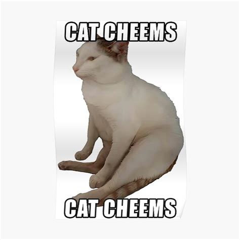 Cat Cheems Hd Poster For Sale By Digitul Redbubble