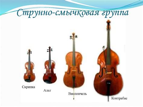 Почему струнные инструменты называют фундаментом оркестра 90 фото
