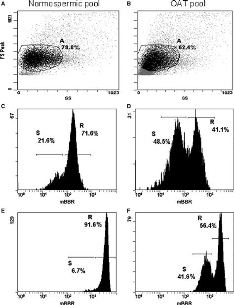 A And B FACS Plot Representation Of Unstained Normospermic And OAT Download Scientific