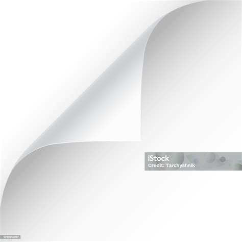 투명한 배경에 그림자가 있는 말린 페이지 코너 용지 한 장 벡터 일러스트레이션 가장자리에 대한 스톡 벡터 아트 및 기타 이미지 가장자리 각도 굽은 Istock