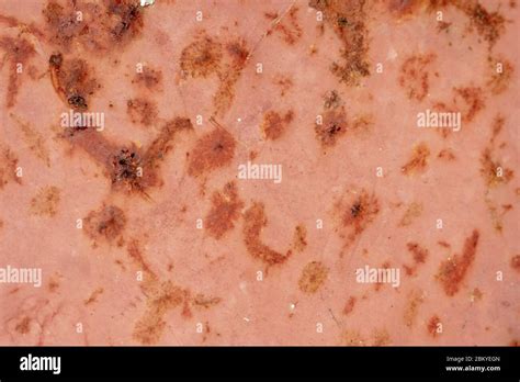 Bright Rust Stains Texture Paint Showing Through To Rust Underneath Stock Photo Alamy
