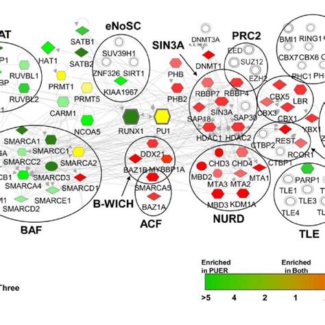 a summary figure of the switch from pu 1 interaction with coactivators