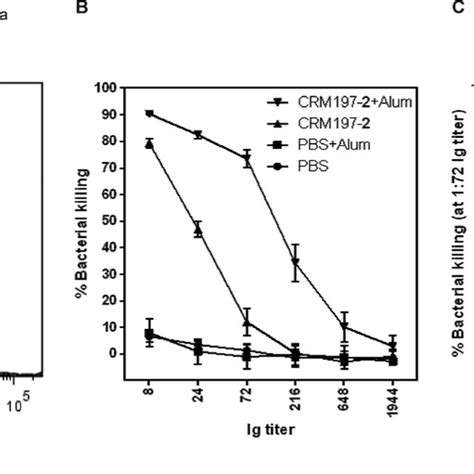 Surface Staining And The Opsonophagocytic Killing Assay A