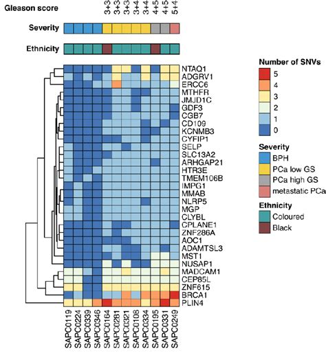 Pdf Detection Of Cancer Associated Gene Mutations In Urinary Cell