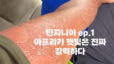 해외출장 브이로그 Youtube
