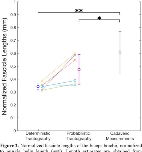 Figure 1 From Development Of DTI Based Probabilistic Tractography