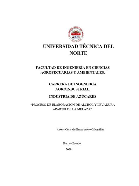 Proceso De Alchol Pdf Fermentación Levadura
