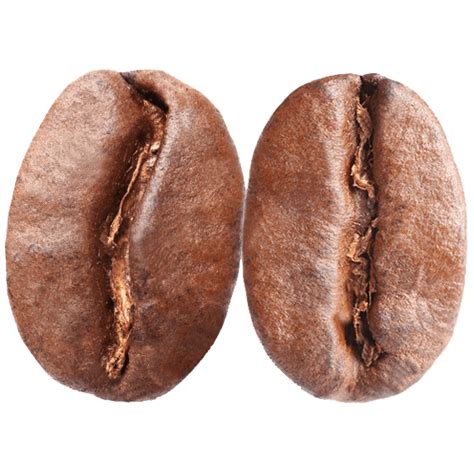 مولتی قیمت و خرید محصول فله ای