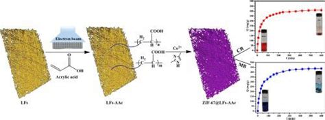 MOF 与丝瓜络相遇通过原位辐射接枝生长控制制备 pH 响应型生物吸附剂以有效去除染料 Separation and