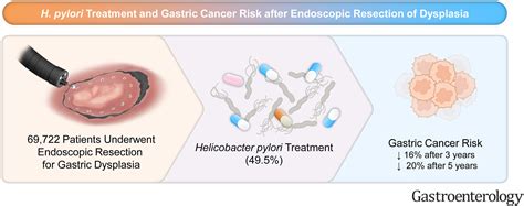 Helicobacter Pylori Treatment And Gastric Cancer Risk After Endoscopic Resection Of Dysplasia A